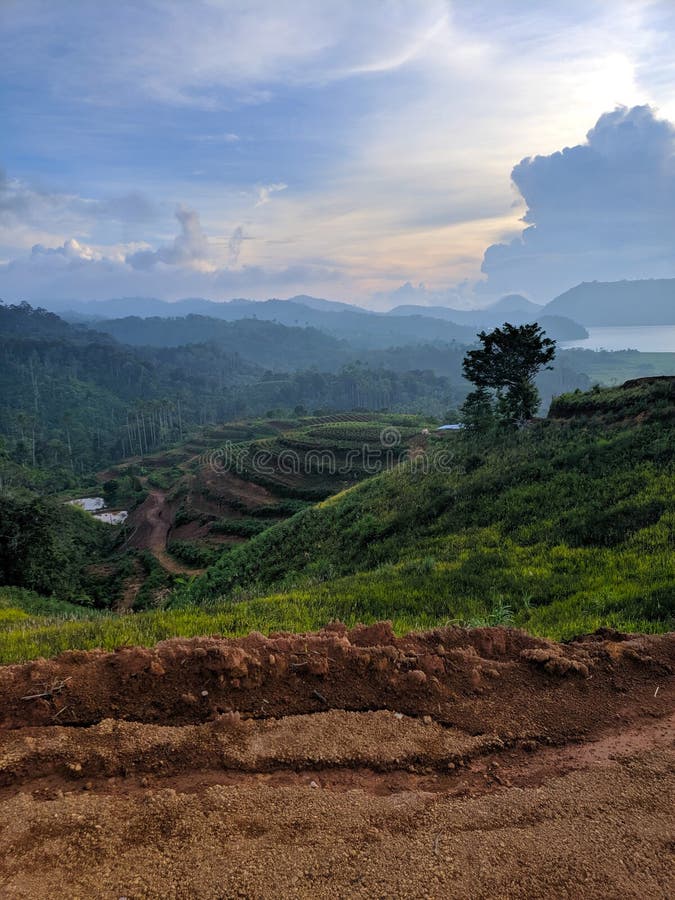 The Promised land stock photo. Image of land, nature - 207993662