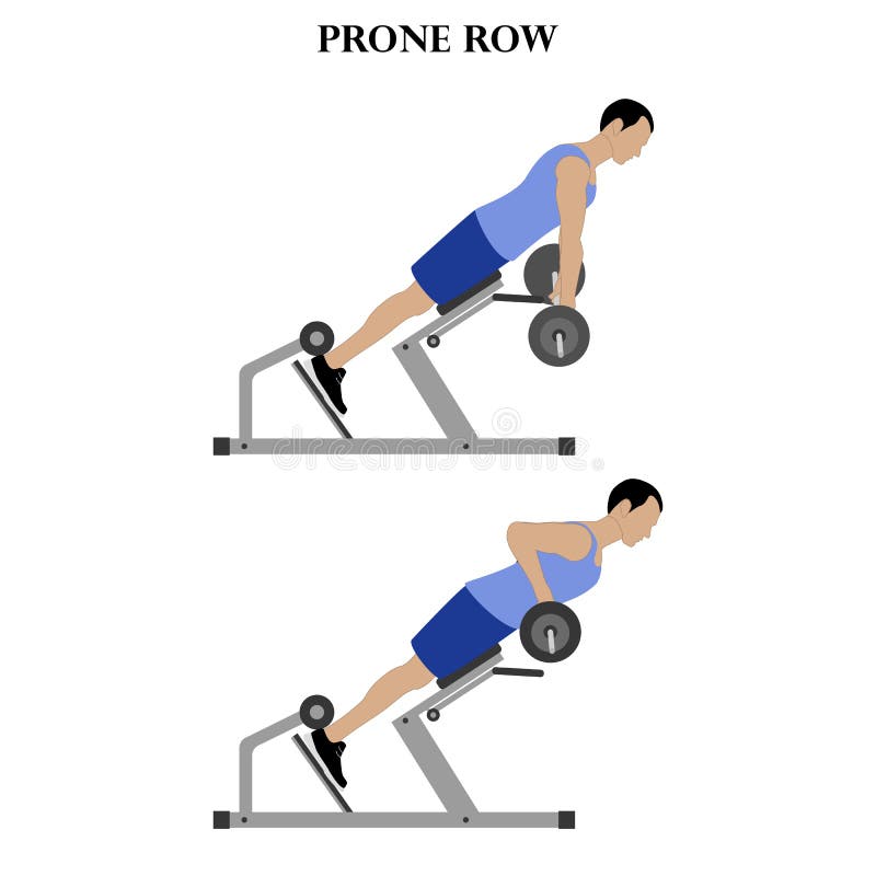 Prone Row Exercise Strength Workout Vector Illustration Stock Vector ...