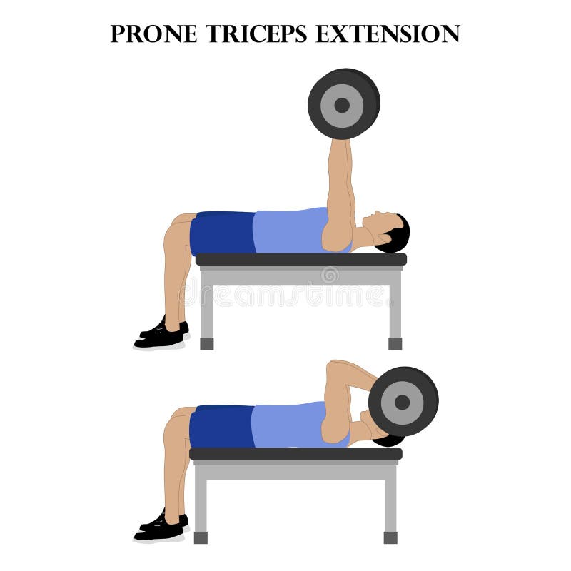 Dumbbell Triceps Extension Exercise Strength Workout Vector ...
