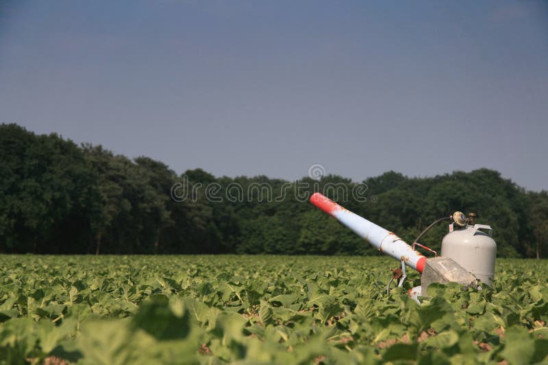 Propane Cannon in a Field with Young Crops Stock Image - Image of crops ...