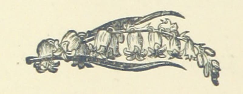 British Library Digitised Image From Page 12 Of "Proper Pride ... A New ...