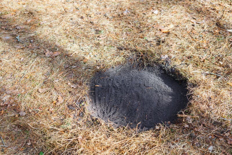 Proper Registration of a Place for a Safe Campfire in the Spring Forest ...