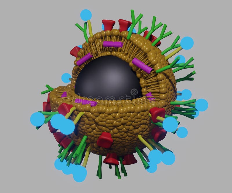 Properties of Magnetic Nanoparticles for Drug Delivery Stock ...