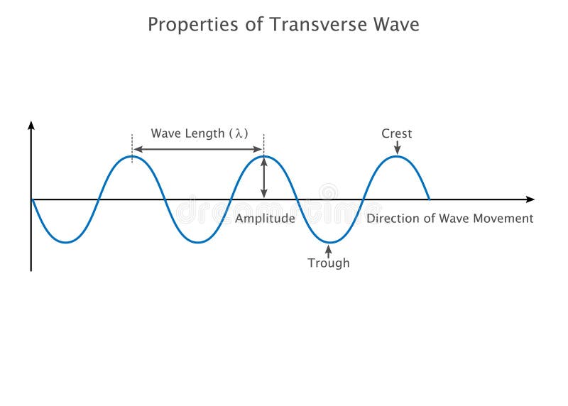 Properties of Transverse Wave, this Waves Oscillate Perpendicular To ...
