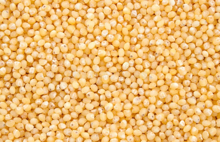 847 Proso Millet Stock Photos - Free & Royalty-Free Stock Photos from ...