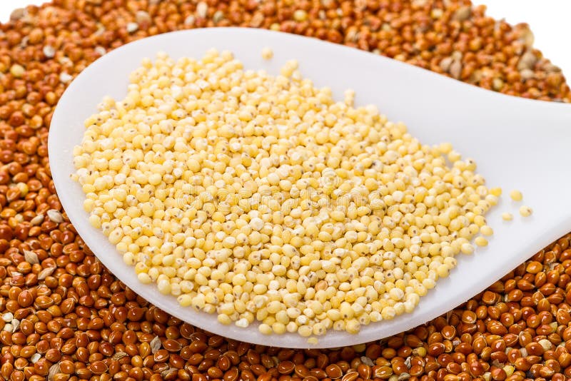Proso and Millet in the Spoon Stock Image - Image of proso, ingredient ...