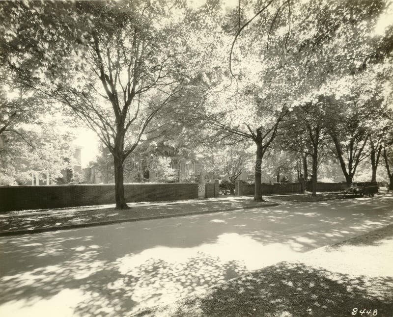 Prospect House Property Picture. Image: 222353155