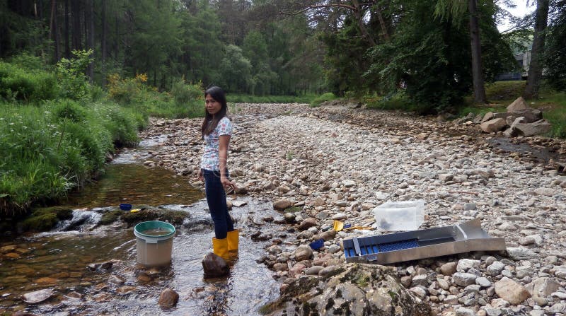 Prospecting for Gold stock image. Image of gold, bedrock - 84807119