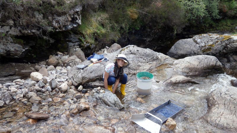 Prospecting for Gold stock photo. Image of prospecting - 84808492