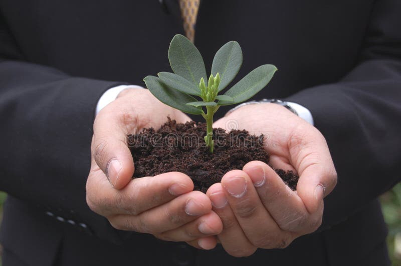 Prosper stock photo. Image of root, grow, hand, success - 9695900