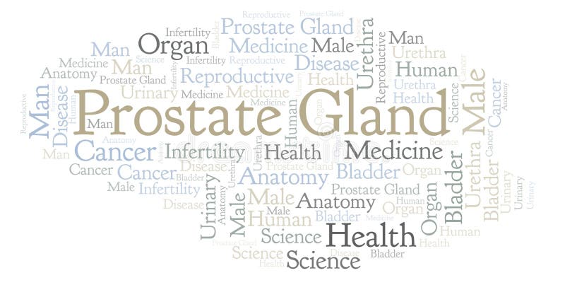 Male Reproductive System Word Cloud Create with Text only. Stock Vector ...