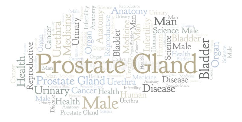 Male Reproductive System Word Cloud Create with Text only. Stock Vector ...
