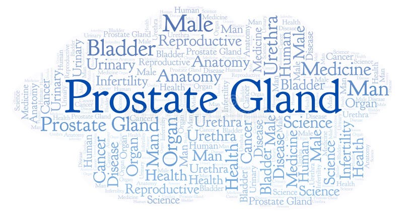 Prostate Gland word cloud. stock illustration. Illustration of human ...