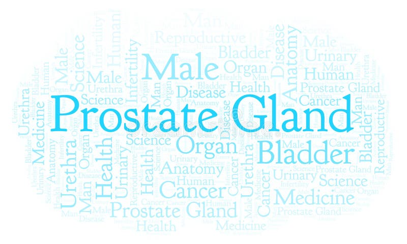 Male Reproductive System Word Cloud Create with Text only. Stock Vector ...