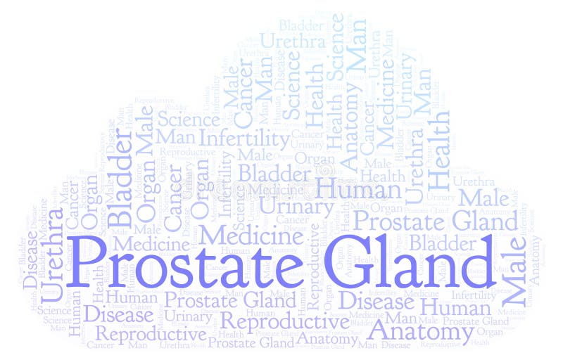 Prostate Gland word cloud. stock illustration. Illustration of human ...