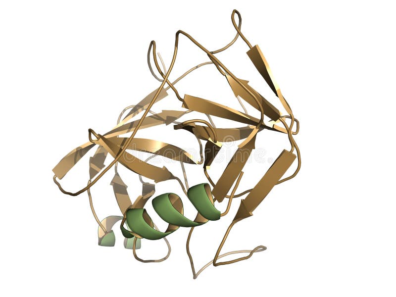 Prostate-specific Antigen (PSA) Stock Illustration - Illustration of ...