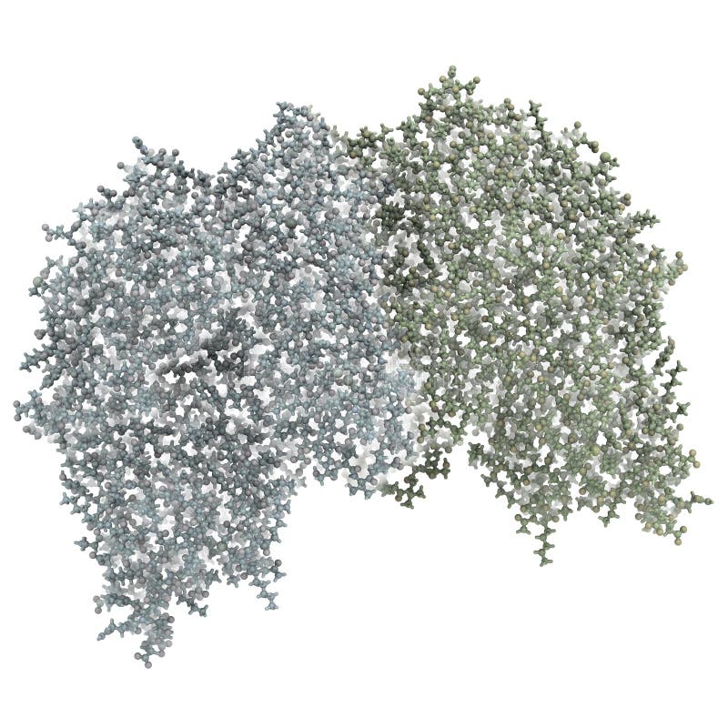 Prostate-specific Membrane Antigen (PSMA) Stock Image - Illustration of ...