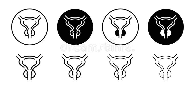 Prostate Vector Icon Set Collection. Prostate Outline Flat Icon Stock Illustration ...