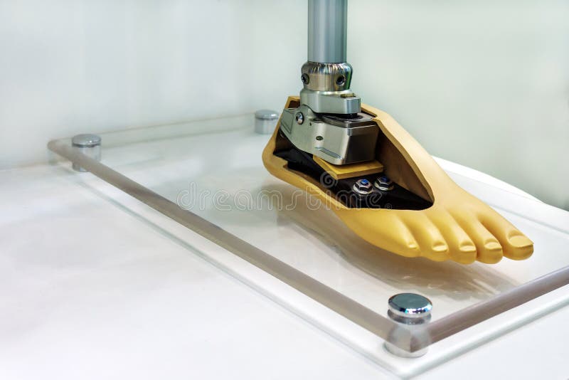Artificial Foot for a Bionic Prosthesis. High-tech Prosthetic Limbs ...