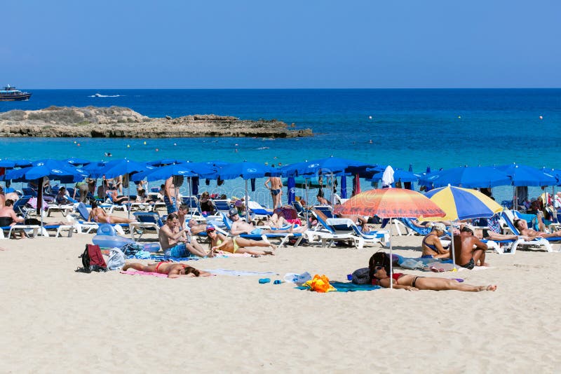Famous Fig Tree bay beach editorial stock image. Image of nature ...