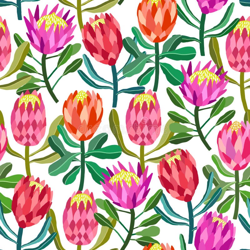 Protea Stock Illustrations – 4,841 Protea Stock Illustrations, Vectors ...