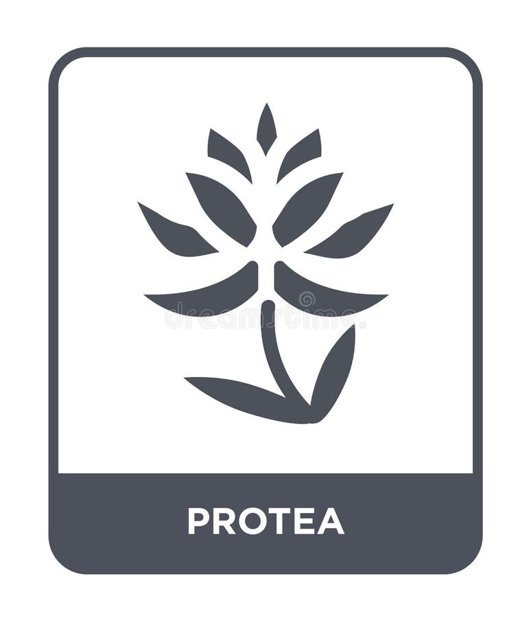 Protea Icon in Trendy Design Style. Protea Icon Isolated on White ...