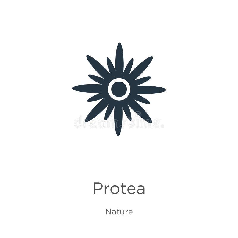 Protea Icon Stock Illustrations – 355 Protea Icon Stock Illustrations ...