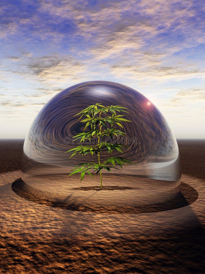 Protect Picture. Image: 4965172