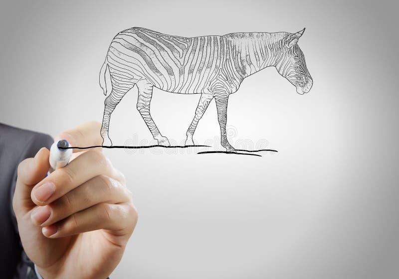Protect animals stock photo. Image of zebra, protect - 56766178