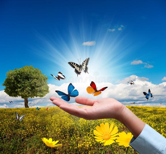 Protect environment stock photo. Image of protect, background - 20282532