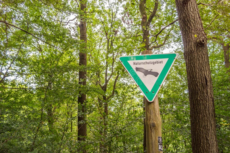 Protect the forest stock image. Image of signboard, protect - 98084957