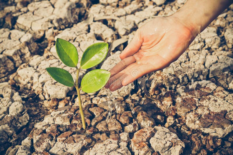 Protect nature stock photo. Image of nature, land, ground - 85452194