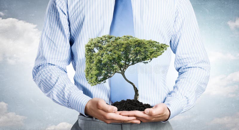 Protect woods stock image. Image of respect, save, future - 57738067