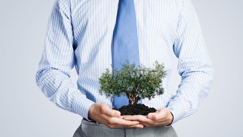 Protect woods stock image. Image of development, tree - 59828479