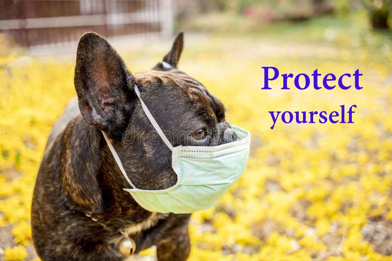 Protect Yourself from Viruses Please Stock Photo - Image of nature ...