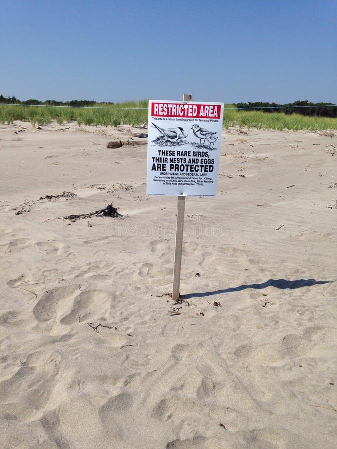 Protected birds sign stock image. Image of sand, terns - 74624401