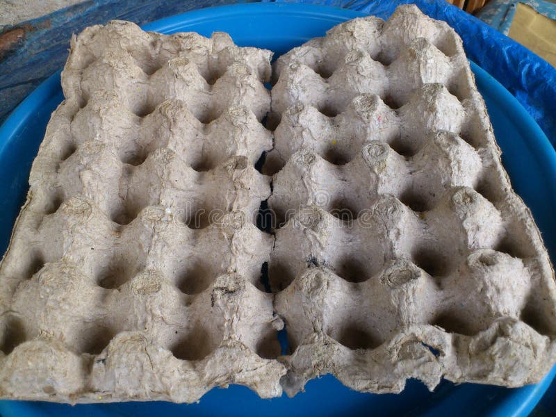 Protected eggs stock photo. Image of eggs, protective - 60814408