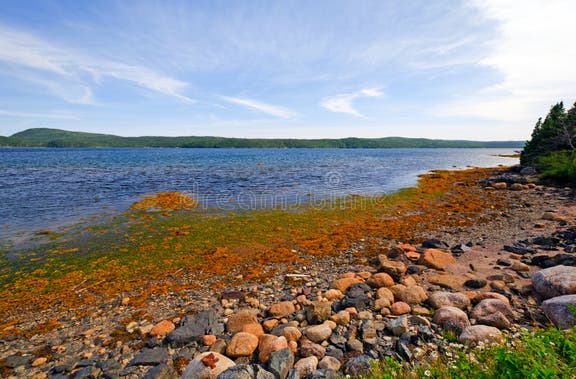 Protected Ocean Cove in Summer Stock Photo - Image of newman, rocks ...