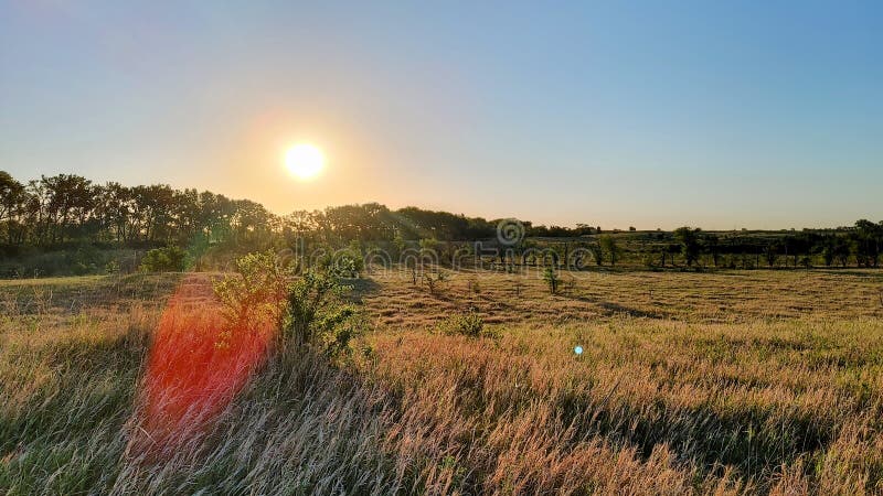 Protected prairie north stock photo. Image of dawn, prairie - 230051286