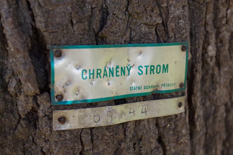 Protected Tree Sign in Czech Language on Bark Editorial Stock Image ...