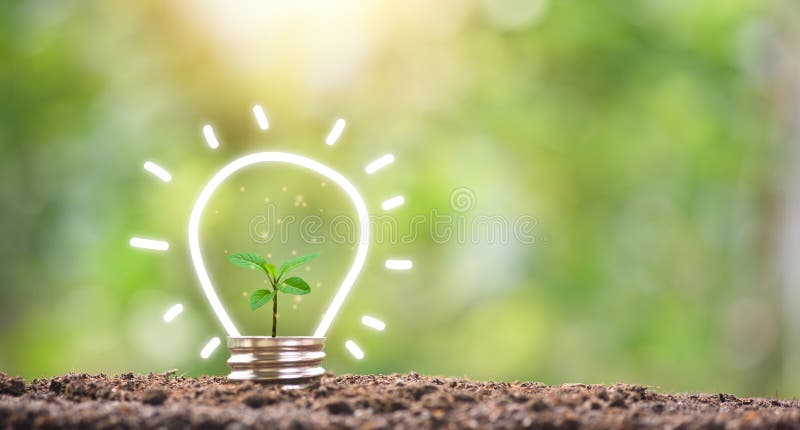 Protecting the Environment Alternative Energy Sustainable Renewable ...