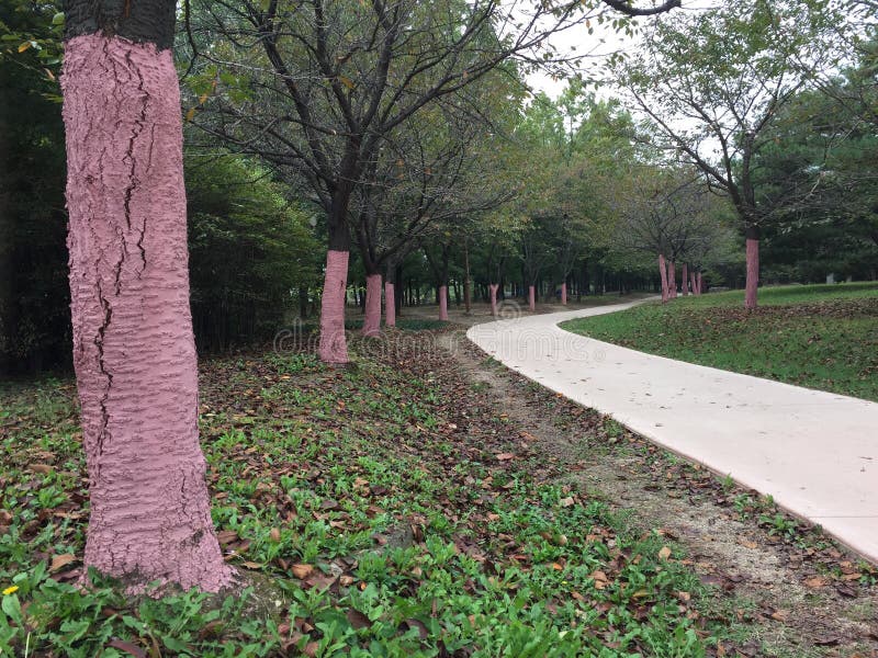 Mothproofing Stock Photos - Free & Royalty-Free Stock Photos from ...