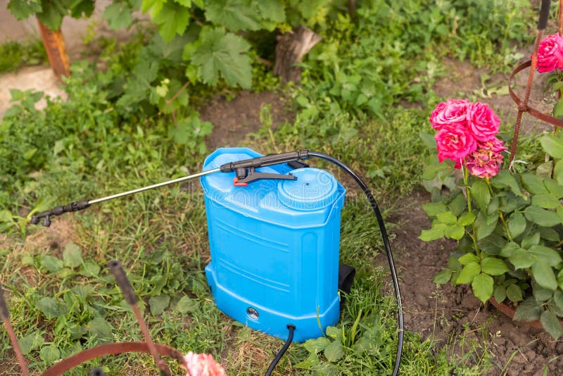Protecting Plant from Vermin with Pressure Sprayer Stock Image - Image ...