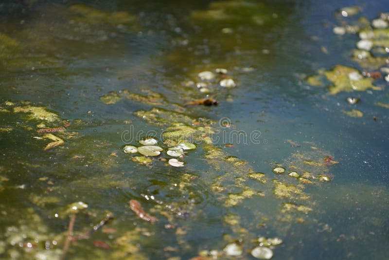 Protecting Water is Important in the Climate Catastrophe and Global ...