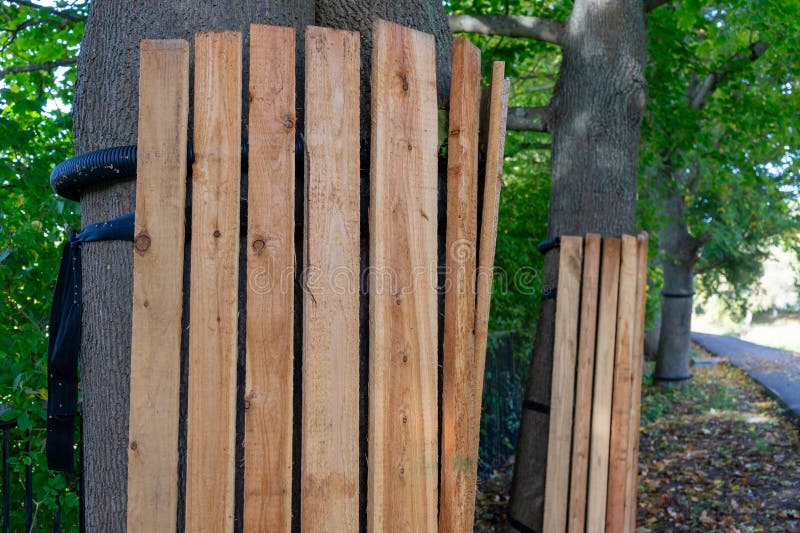 Protection Around a Tree Trunk on a Construction Site Stock Photo ...