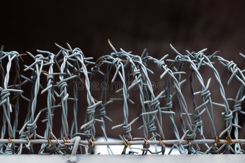 Protection Fence with Sharp Barbed Wire. Independence or Freedom Stock ...