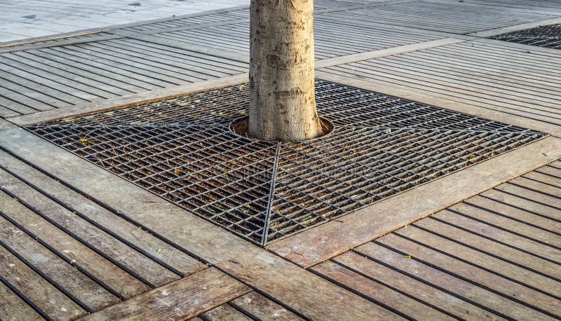 Tree Protection in the City Stock Photo - Image of cover, detail: 160424124