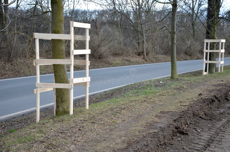 Protection of Tree Trunks on a Construction Site. the Trees in the ...