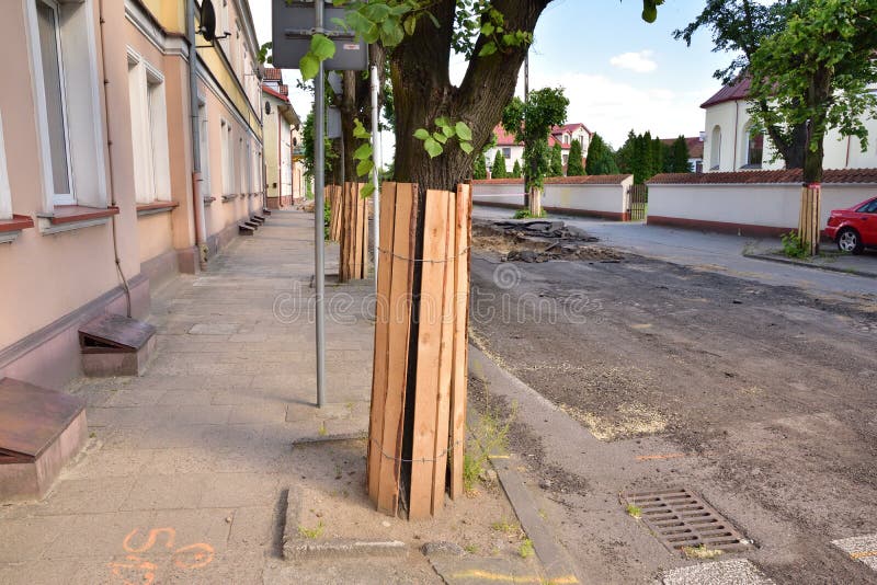 Protection of Trees during Road Renovation in the City. Environment ...