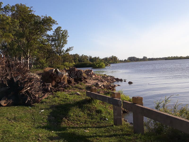 Lovely nature stock photo. Image of nature, protection - 130235924